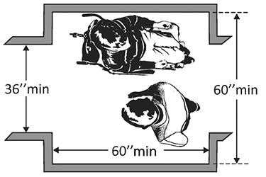 ADA-Expert P2 Input – ADA-Expert, Inc.